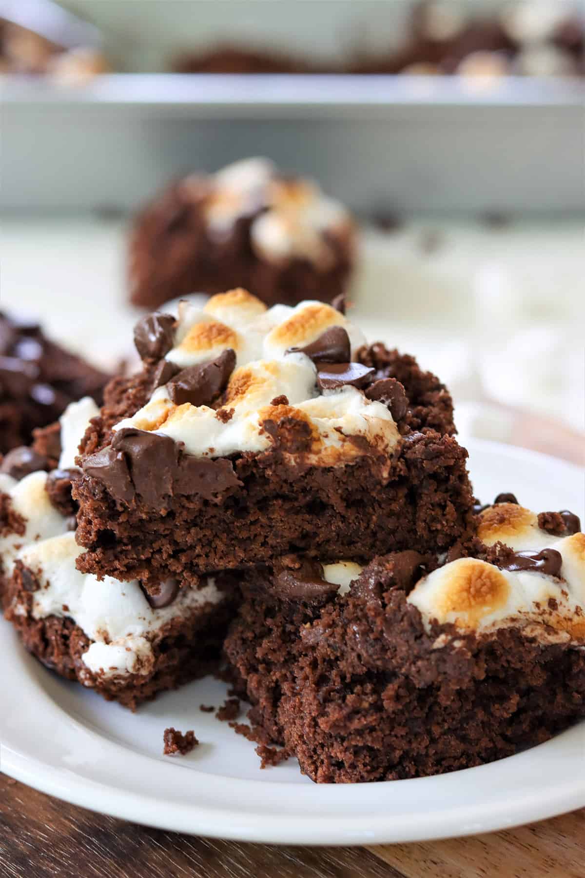 S'mores Brownies (Easy Camping Dessert) - Seeking The RV Life
