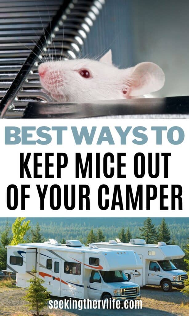 Inspiring How To Keep Mice Out Of Campers Photos